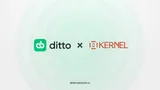 Automated Liquidity Management for DeFi | Ditto Network