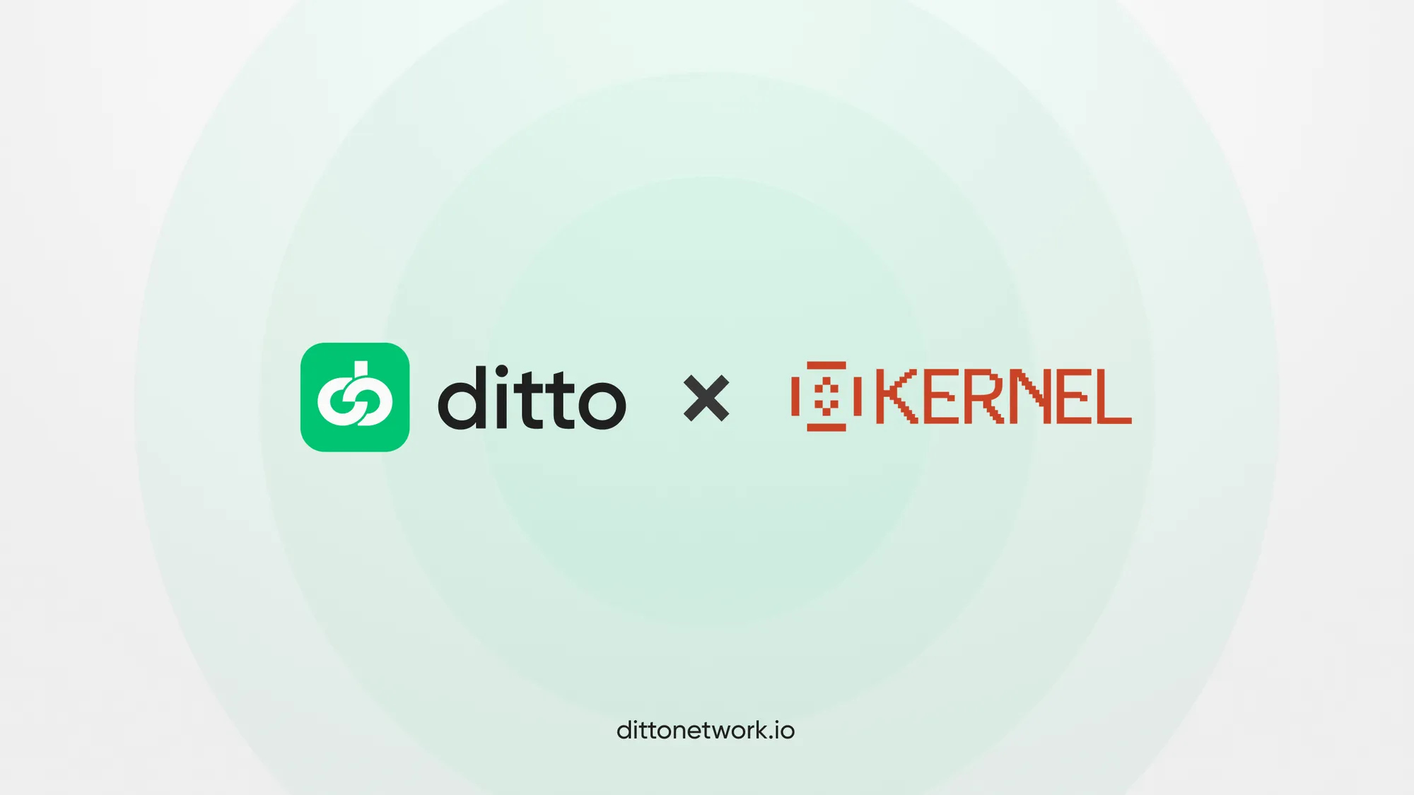 Automated Liquidity Management for DeFi | Ditto Network