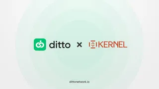 Automated Liquidity Management for DeFi | Ditto Network